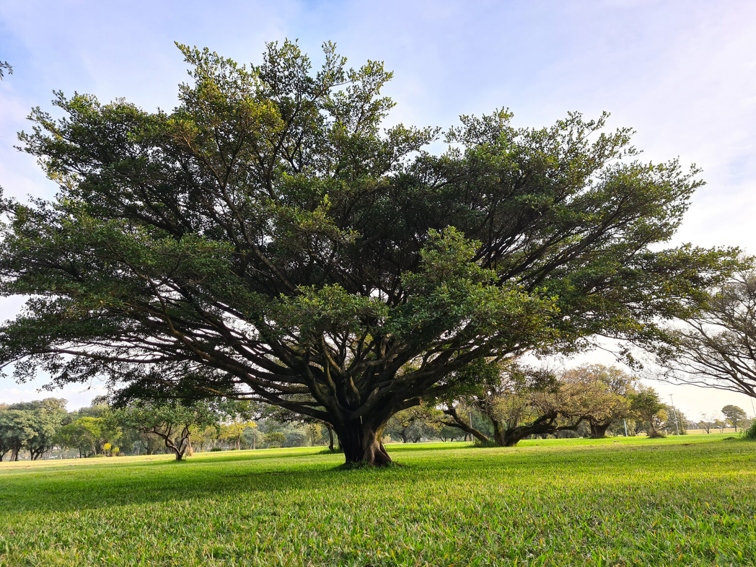 Voor consumenten - BATC